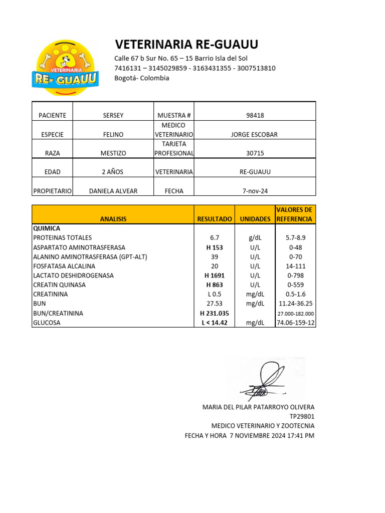 Resultados Disco Sersey | PDF