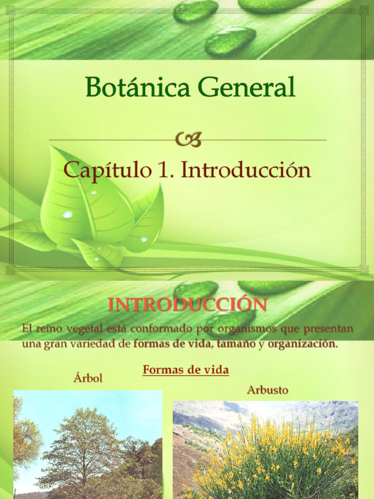 Cap 1. Introducción Botánica Pim - Aw | PDF