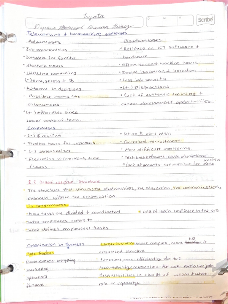 Organizational Business Structure | PDF