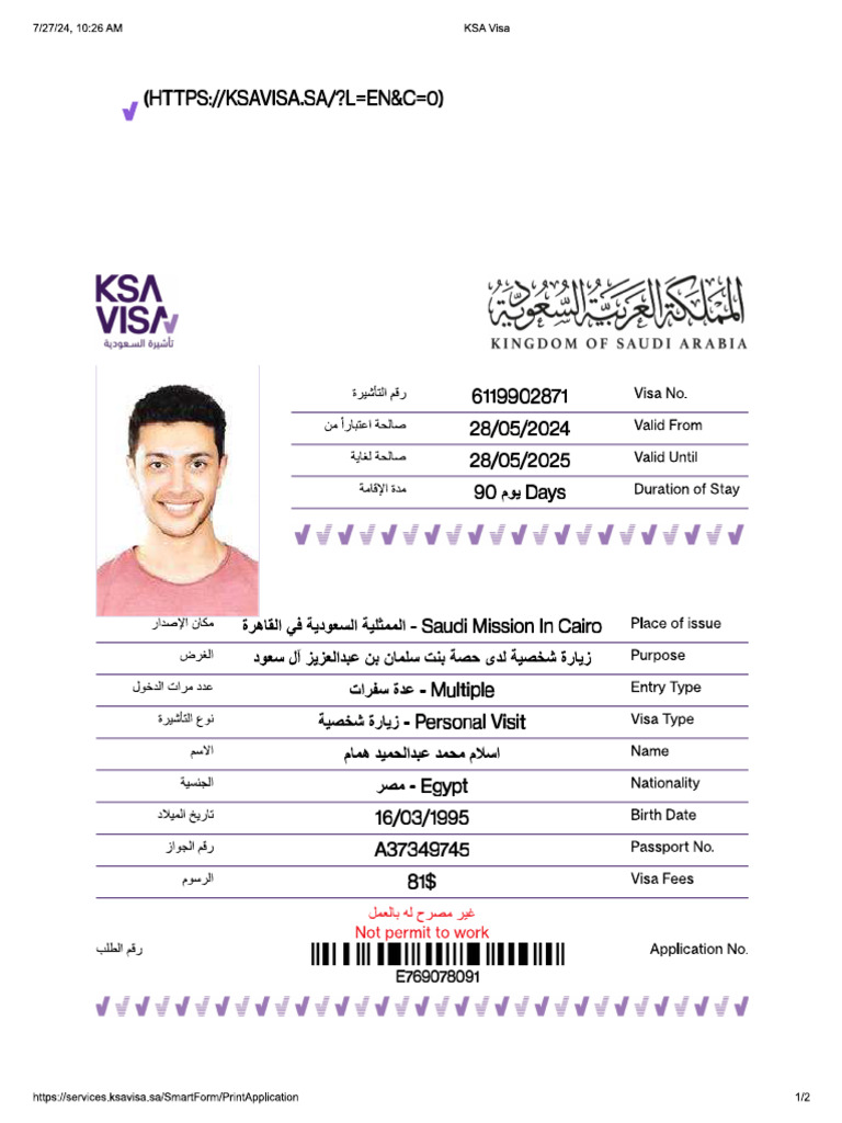 Visa | PDF