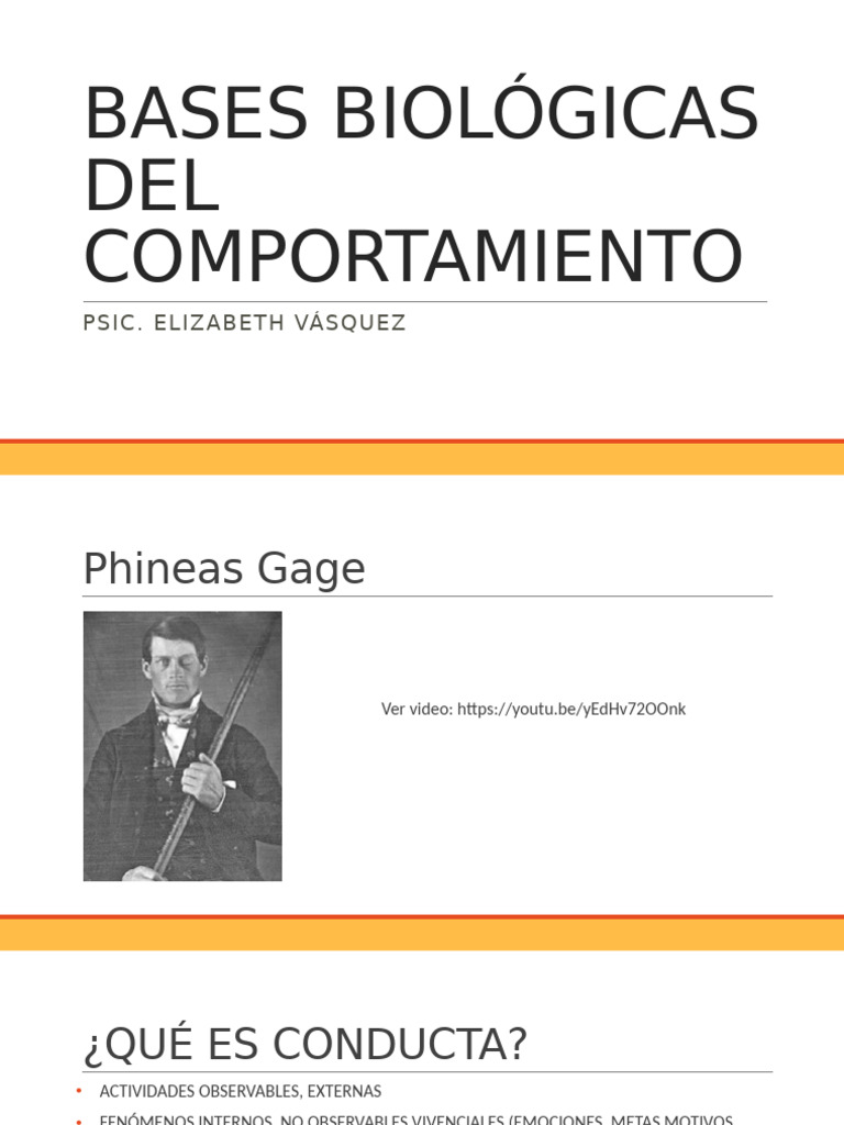 01 Bases Biológicas Del Comportamiento | PDF | Cerebro | Neurona