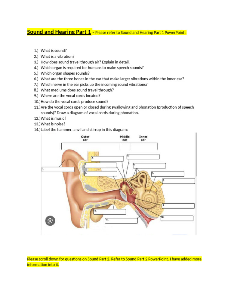 Sound & Hearing: Key Concepts | PDF