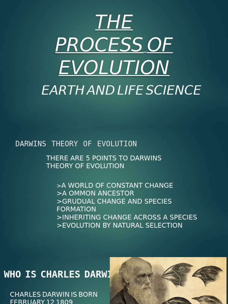 Darwin's Theory of Evolution Explained | PDF