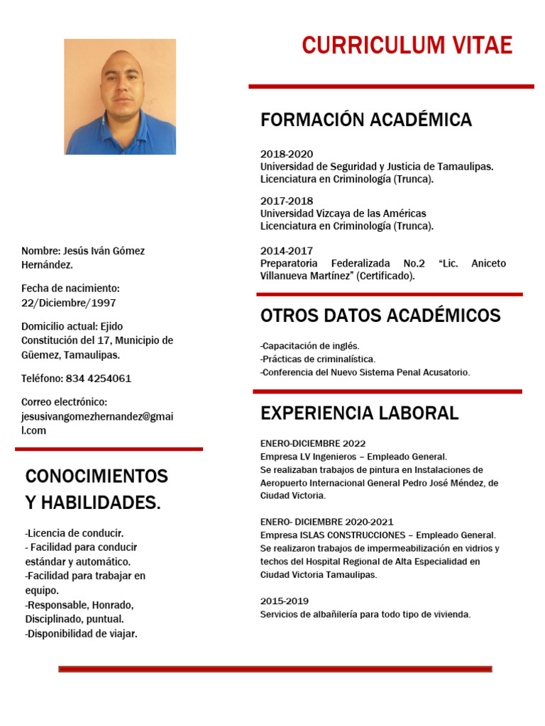 Curriculum de Ivan | PDF