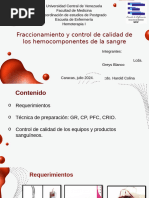 Protocolo E-Delphyn en Medicina Transfusional | PDF | Hospital ...