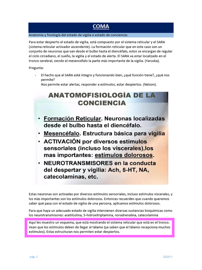 Niveles de conciencia en el coma | PDF | Conciencia | Coma