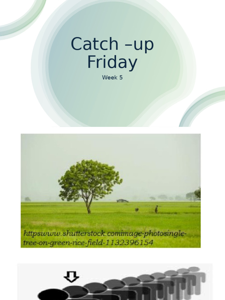 Catch Up Friday Mathematics Week 5 | PDF