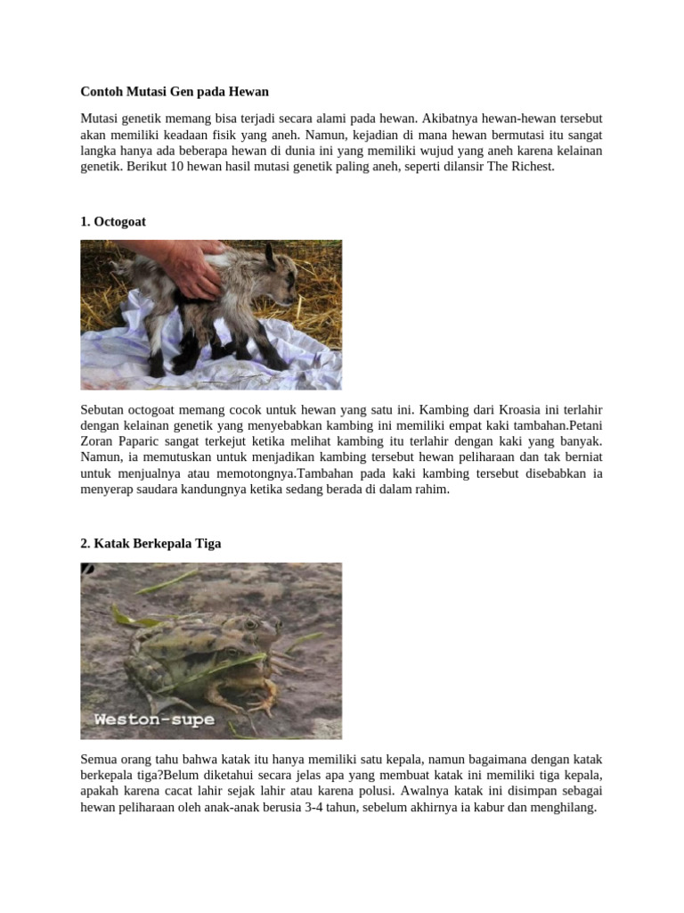 Contoh Mutasi Hewan | PDF