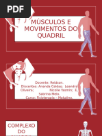 Musculos Quadril Tabela | PDF | Quadril | Anatomia dos membros inferiores