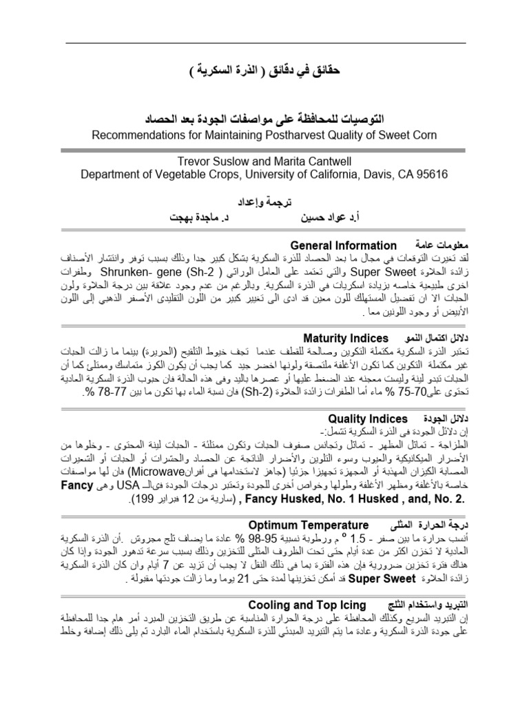 Sweet Corn | PDF