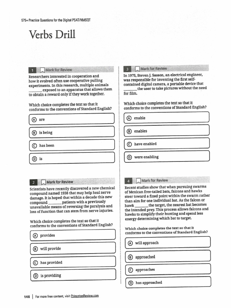 Verbs Drill | PDF