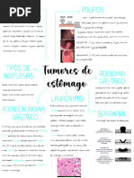 Guia Rapido Ultraformer MPT | PDF | Especialidades médicas