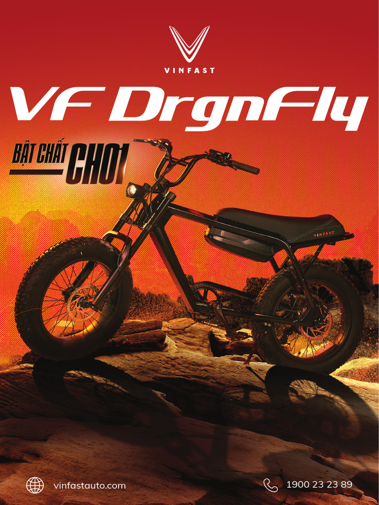 DrgnFly Brochure VN | PDF