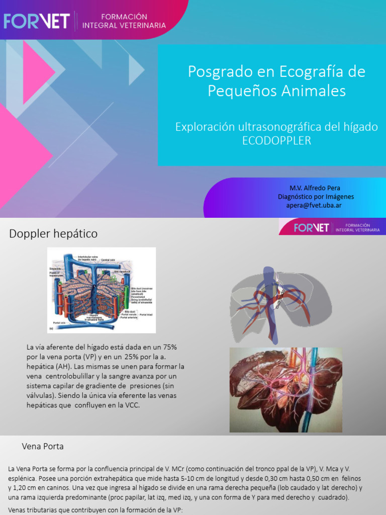 Doppler Higado MV ALFREDO PERA | PDF | Cirrosis | Hipertensión