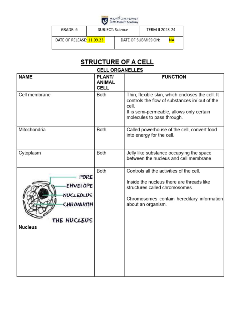 Functions of Different Parts of A Cell | PDF | Science & Mathematics