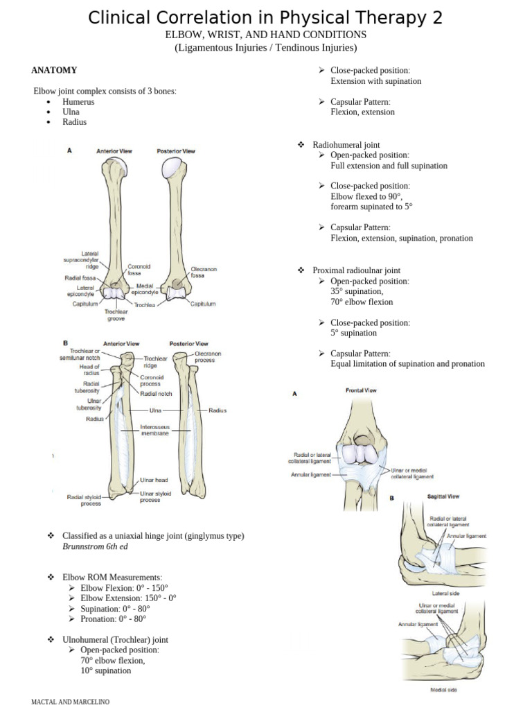 Elbow, Wrist, and Hand Conditions | PDF | Elbow | Thumb