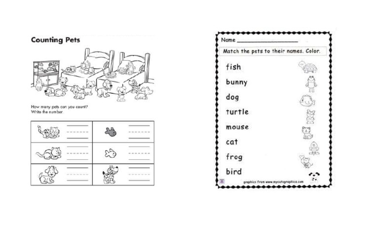 Pets and Counting | PDF