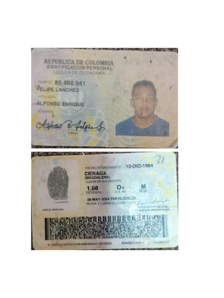 2.cedula Alonso Felipe | PDF