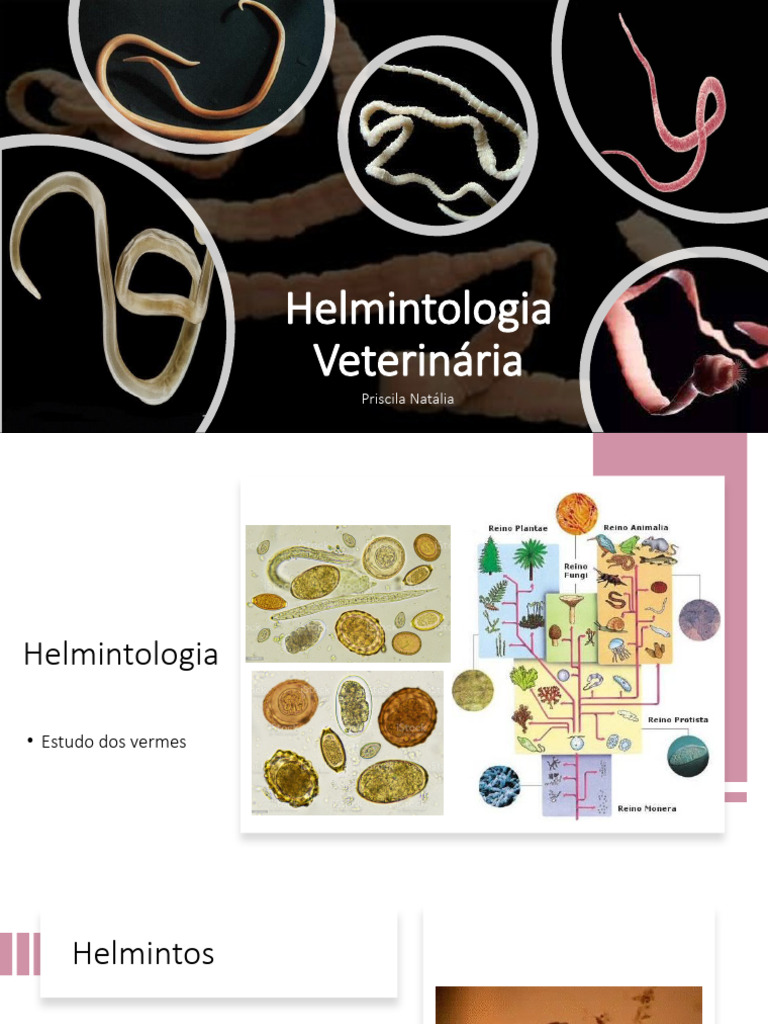 Aula 6 - Helmintologia Veterinária - Júlia Bezerra | PDF | Nematoda