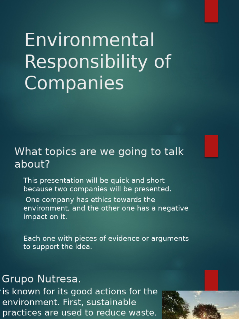 Environmental Responsibility of Companies | PDF | Science & Mathematics