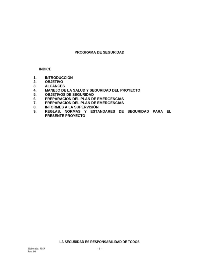 Programa de Seguridad | PDF | Riesgo | Soldadura