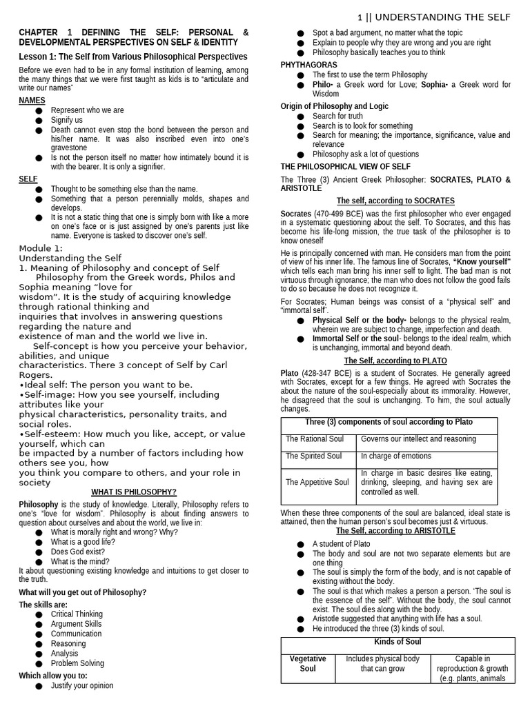 Understanding The Self Chapter 1 | PDF | Philosophy Of Self | Soul