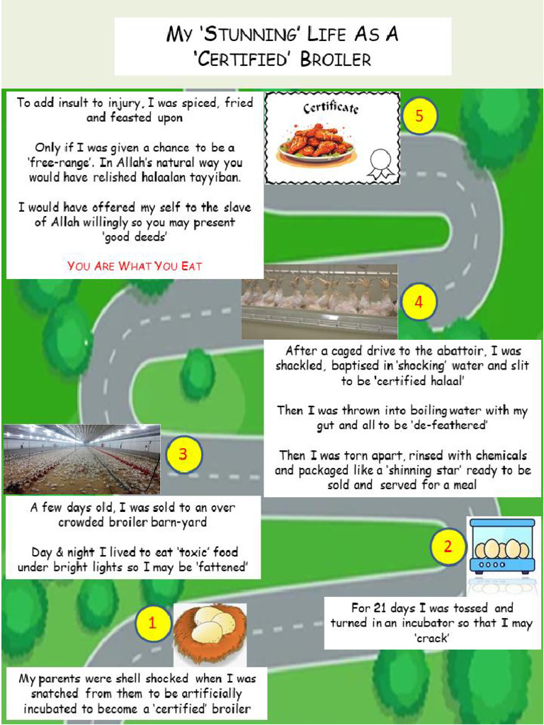 My Stunning Life As A Certified Broiler - Stunning of Animals | PDF ...