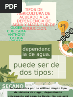 Gestión de Aguas de Sentina en Buques | PDF | Agua | Bomba