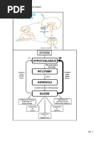 Ecr-S Assessment Form | PDF | Psychology | Behavioural Sciences