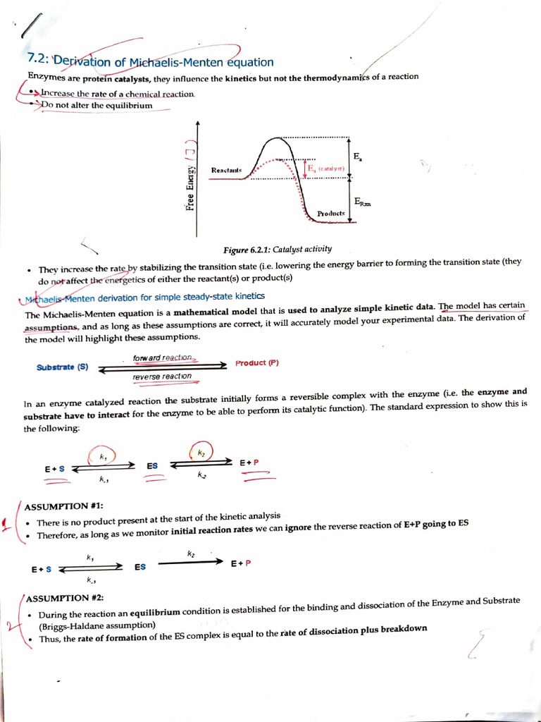 Medical Physics Class Note | PDF