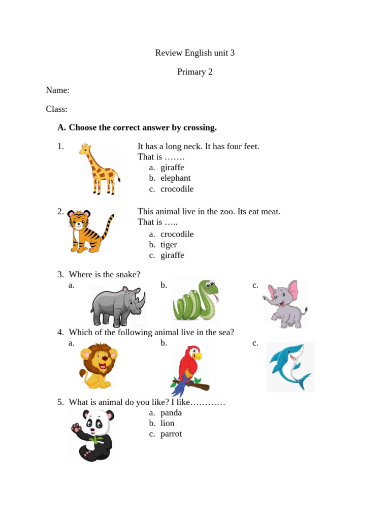 Review English Unit 3 | PDF | Language Arts & Discipline | Foreign ...