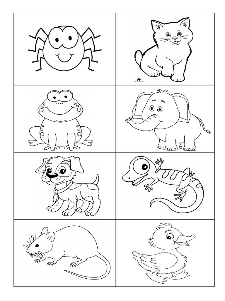 Ws Pets | PDF