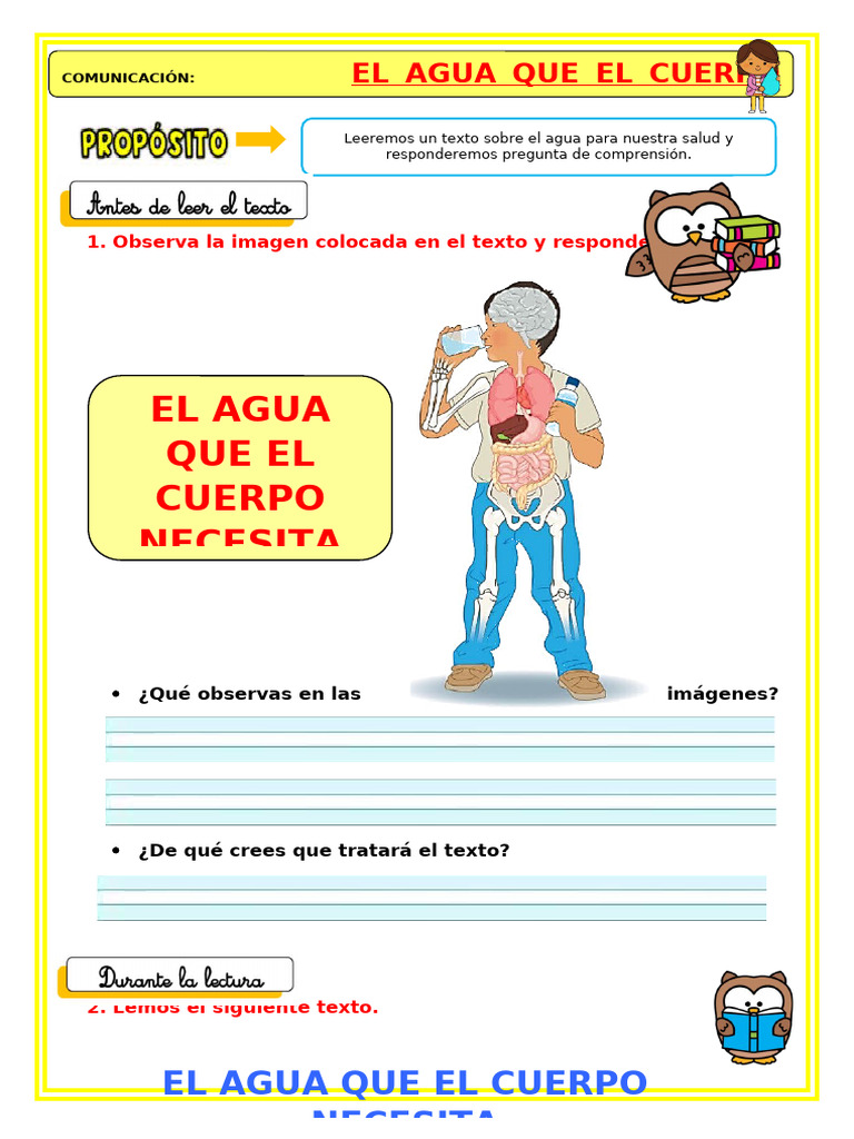 U2 S1 Ficha D4 Plan Lector El Agua Que Mi Cuerpo Necesita | PDF | Agua