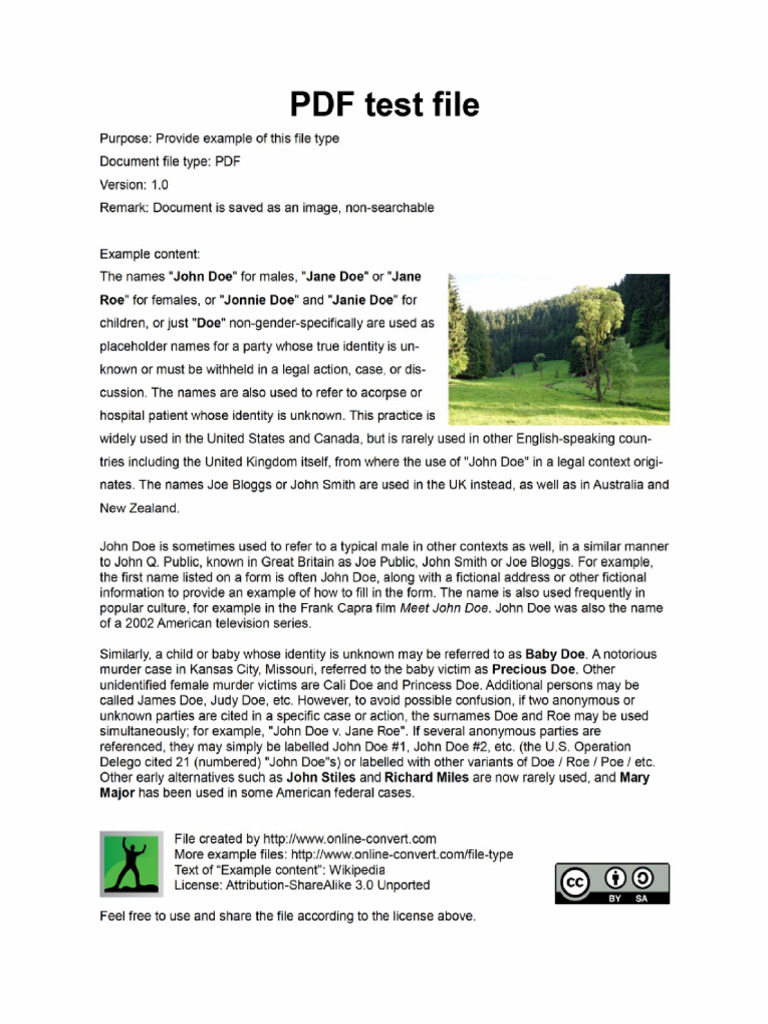 Example Nonsearchable | PDF | John Doe
