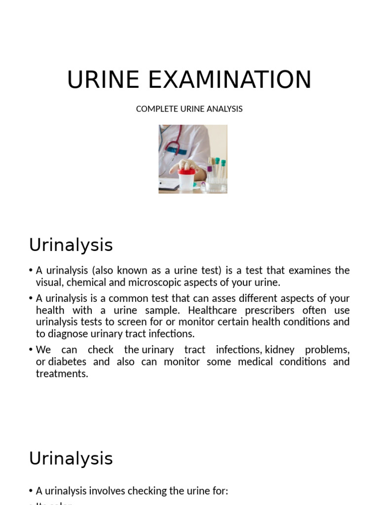 Urine Examination | PDF | Urine | Urinary System