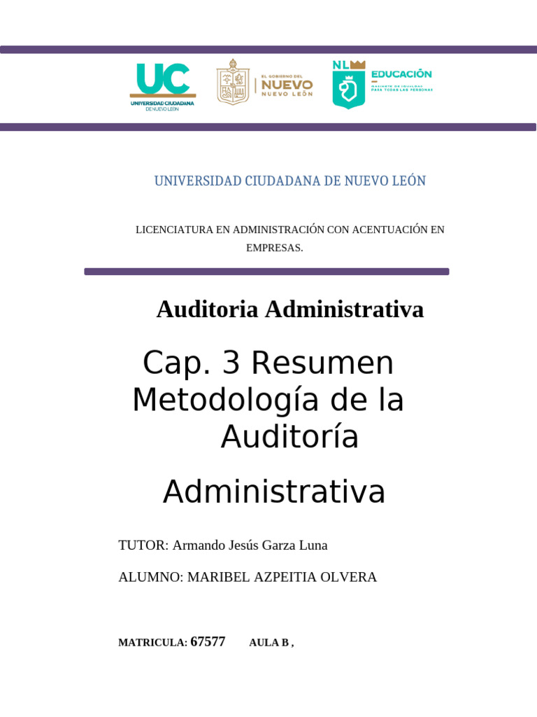 2a Act Resumen Cap 3 | PDF | Auditoría | Planificación