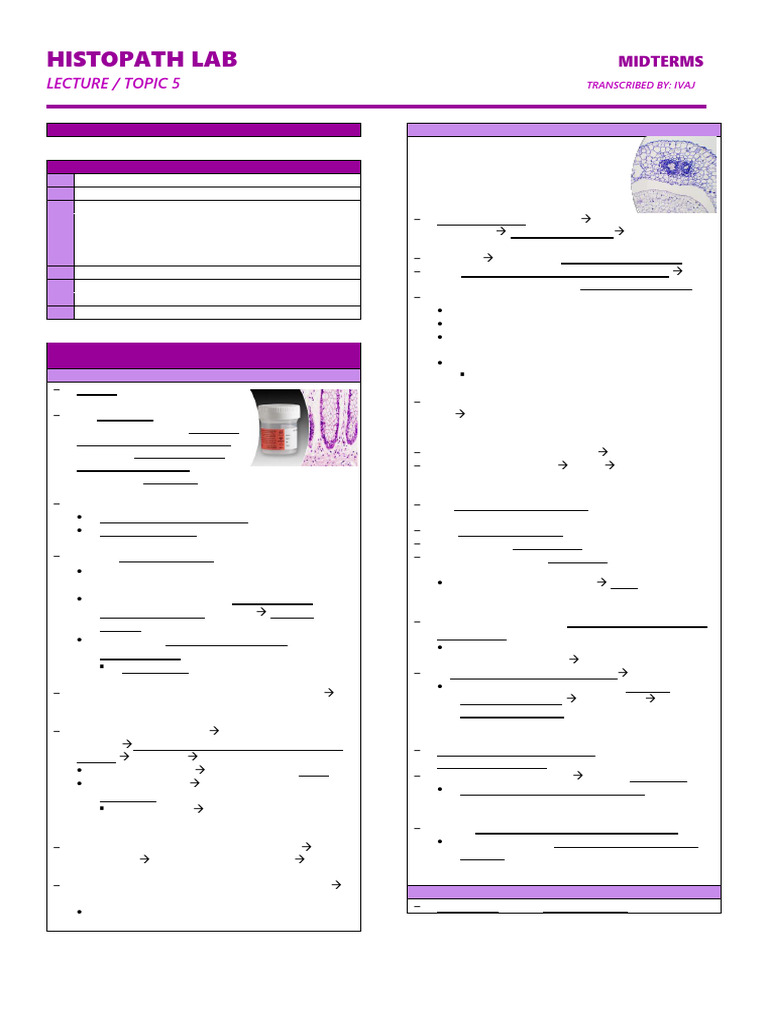 Fixation Pdf Fixation Histology Staining