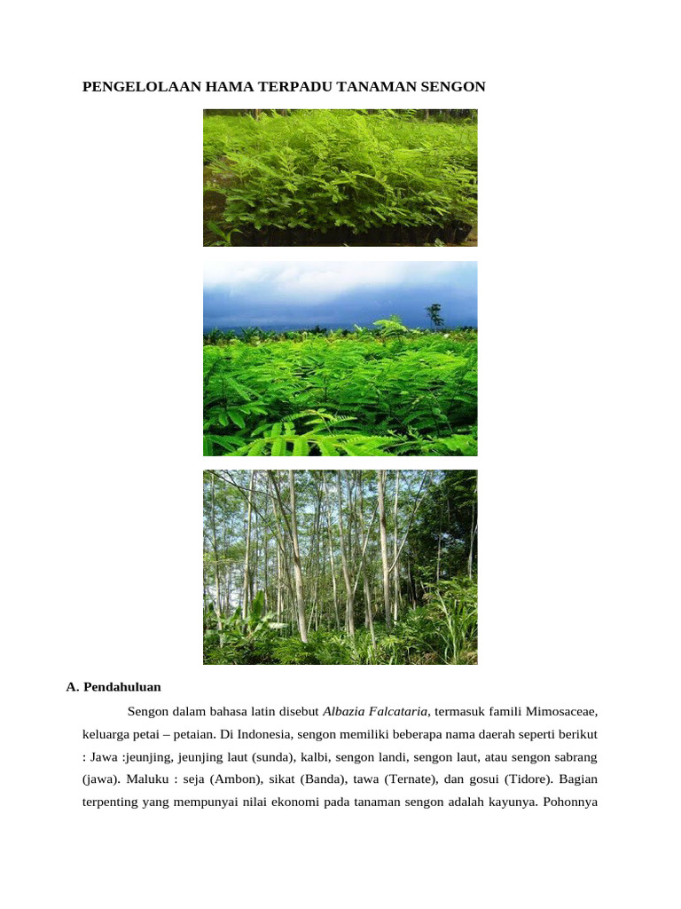 Pengendalian Hama Tanaman Sengon | PDF