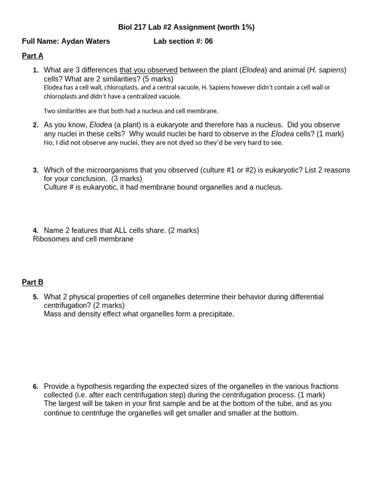 Biol 217 Lab #2 Assignment | PDF | Cell (Biology) | Cell Nucleus