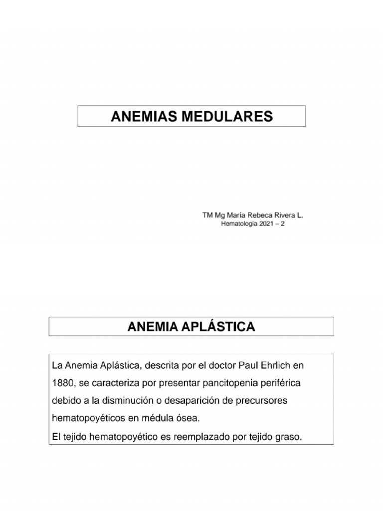 Anem | PDF