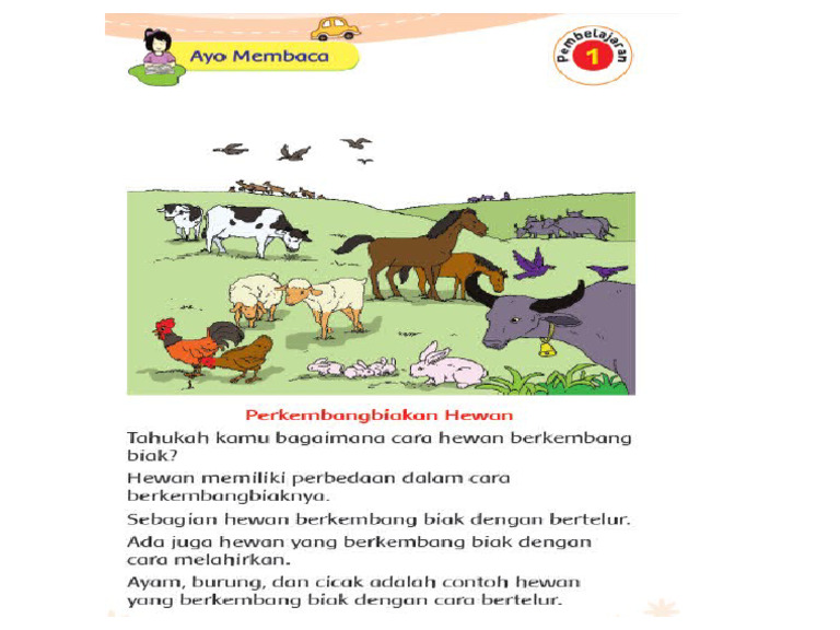Hewan | PDF