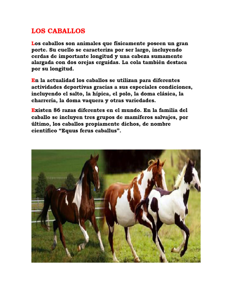 Los Caballos | PDF | Caballos