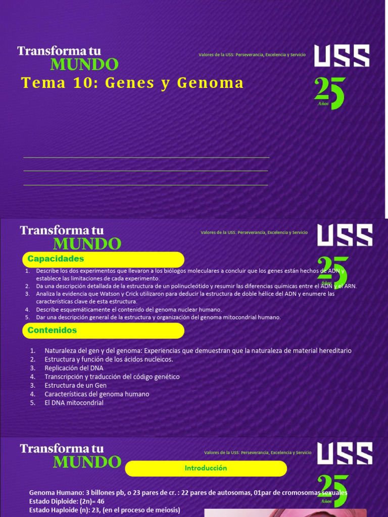 Clase 10 Genes y Genomas | PDF | Genoma | Adn