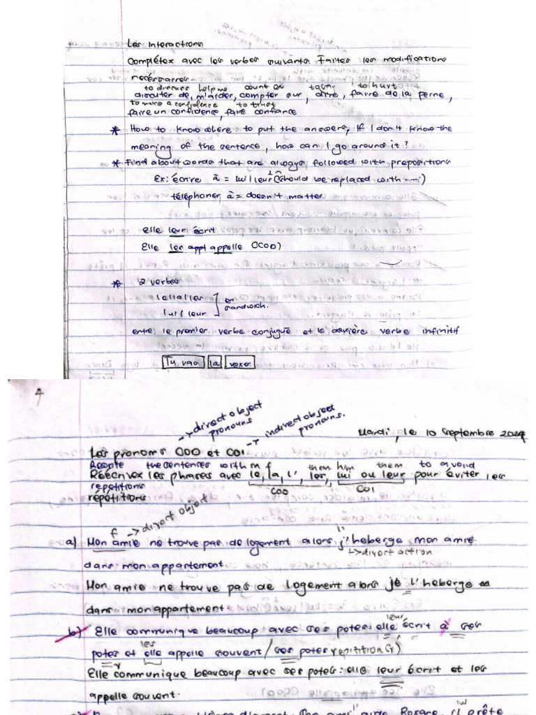 French Notes - Leur: Lui | PDF