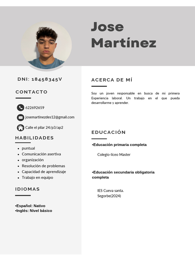 Currículum Vitae CV de Contabilidad Simple Gris | PDF | Salud y bienestar