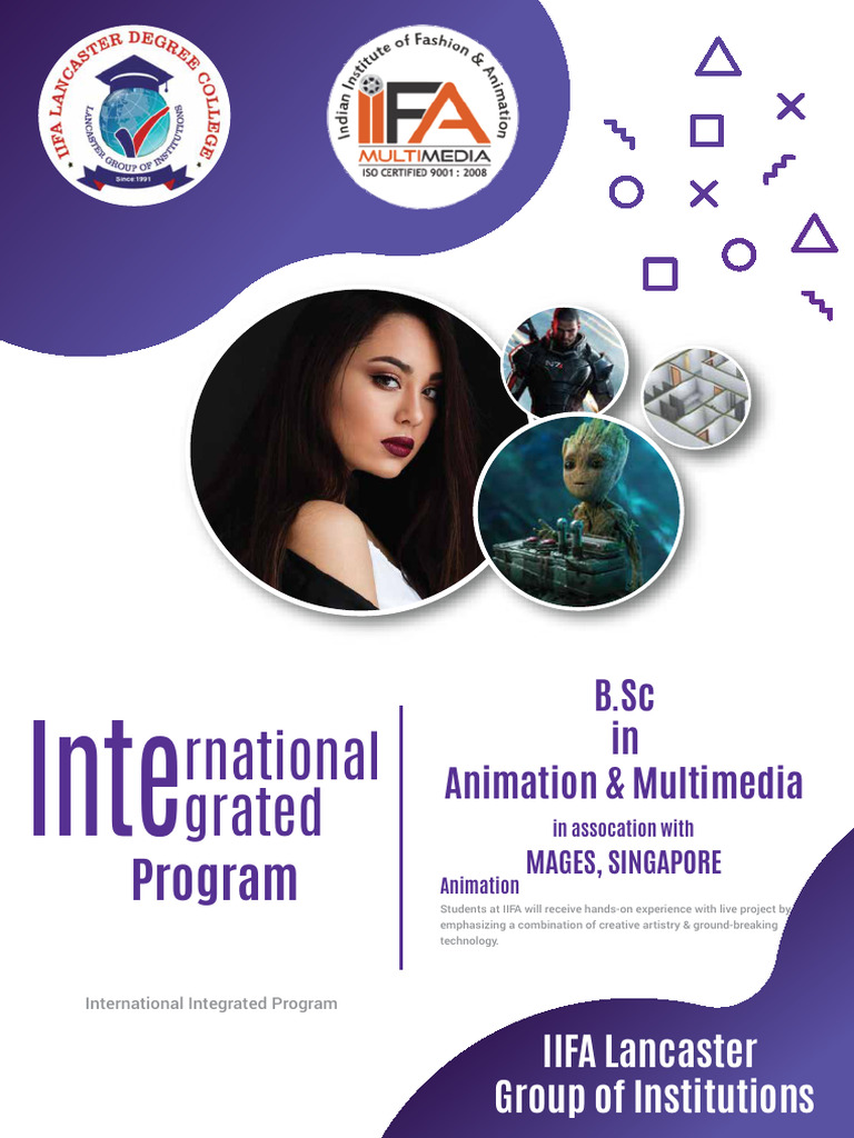 B.SC in Animation and Multimedia-IIP | PDF | 3 D Computer Graphics | Curriculum