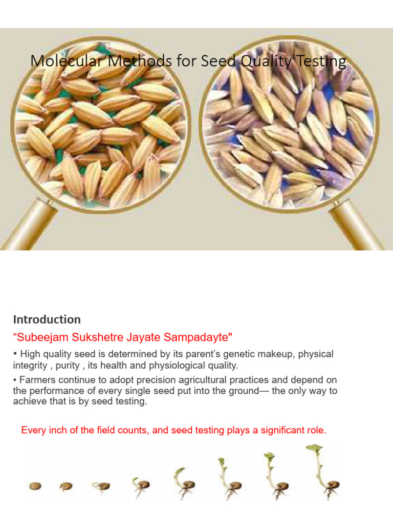 Seed Quality Acessment Through Molecular Methods | PDF | Gel ...