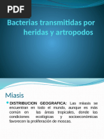 Miasis Cutánea: Diagnóstico y Tratamiento | PDF | Especialidades ...