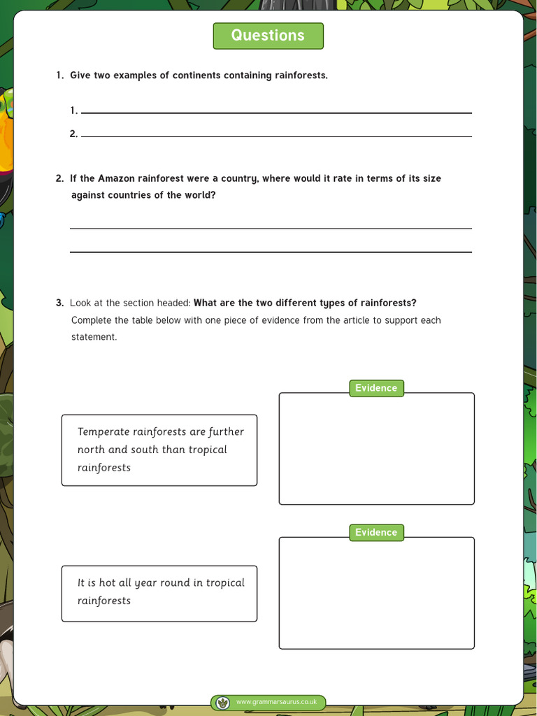 Rainforests Reading Comprehension | PDF | Rainforest | Amazon Rainforest