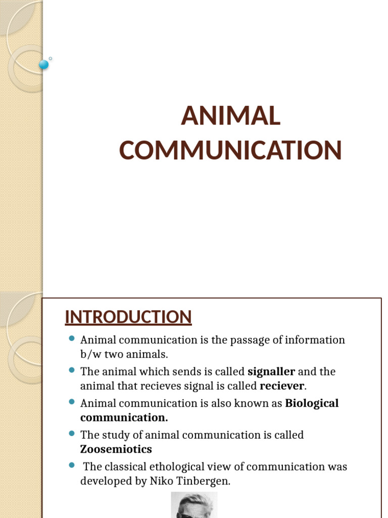 Animal Communication | PDF | Communication | Pheromone